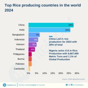 Trends of rice producing countries (1990-2024) | global rice production ...