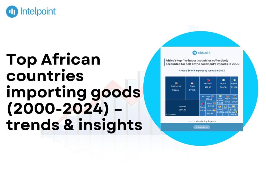 Top African countries importing goods (2000-2024) – trends & insights - Intelpoint
