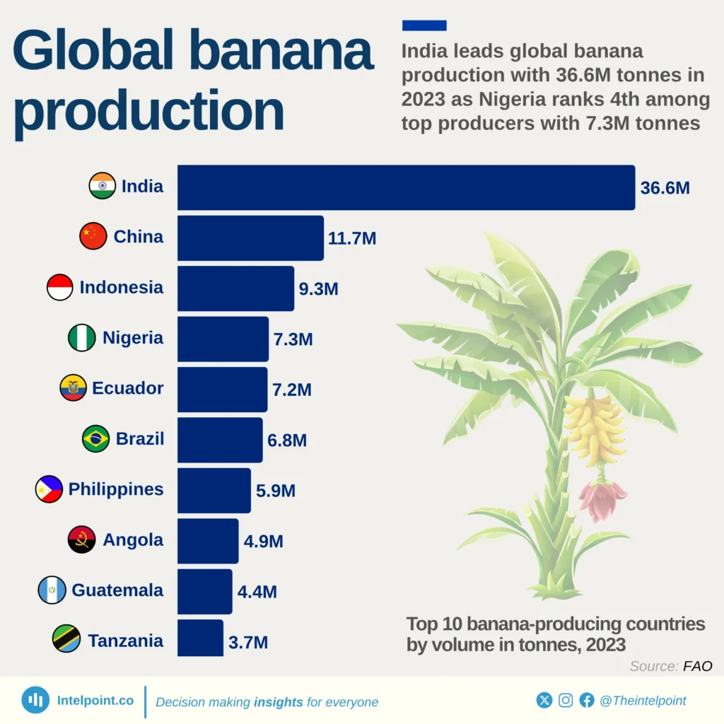 India leads global banana production with 36.6M tonnes in 2024 as ...